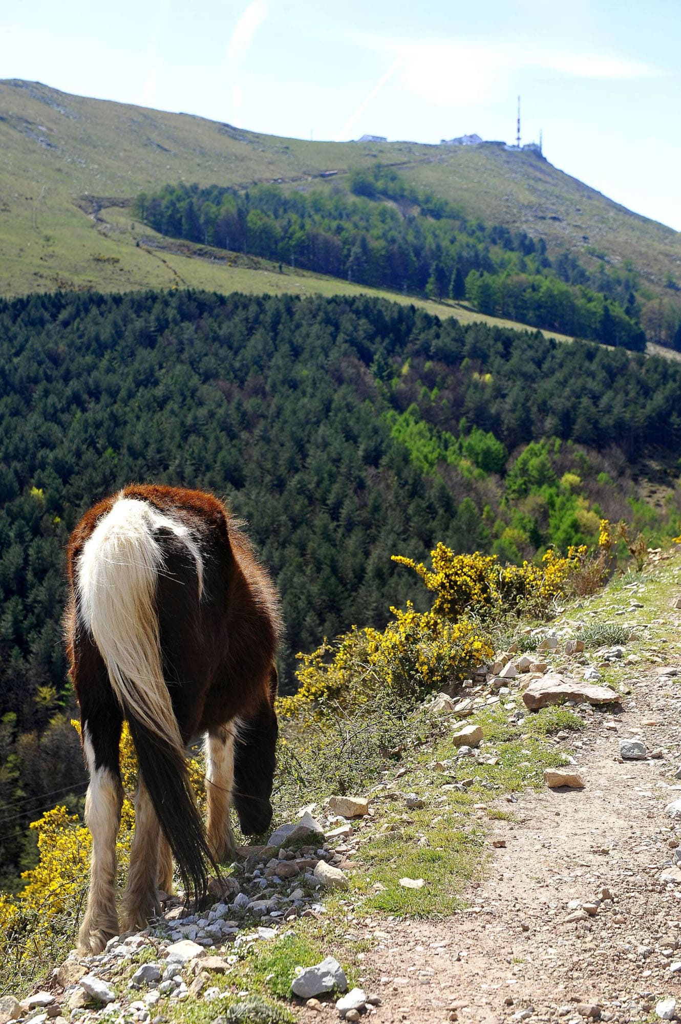 La Rhune | Discover La Rhune on a hike in the Basque Country