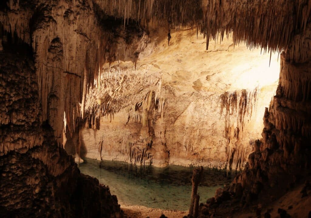 Grotte de Sare : patrimoine préhistorique du Pays Basque